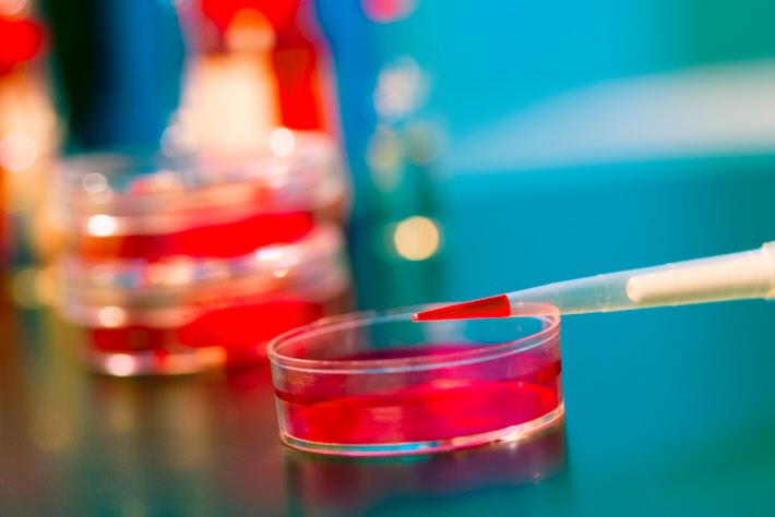 Medios: Die etwas andere Pharma-Aktie · Die beste Seite für Deutsche ...